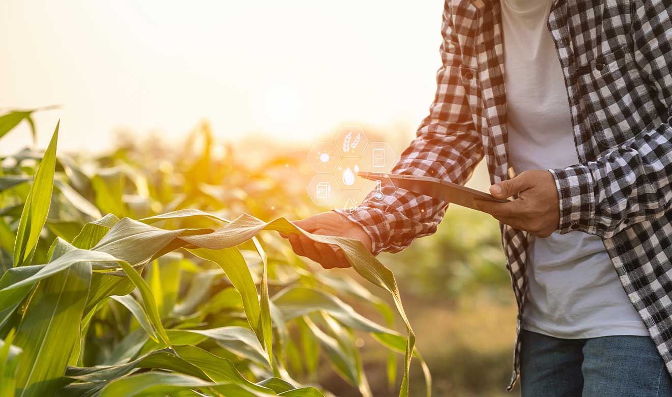 Encargado de Línea Nutrición Agrícola - Efecto | Expertos en Gestión de ...